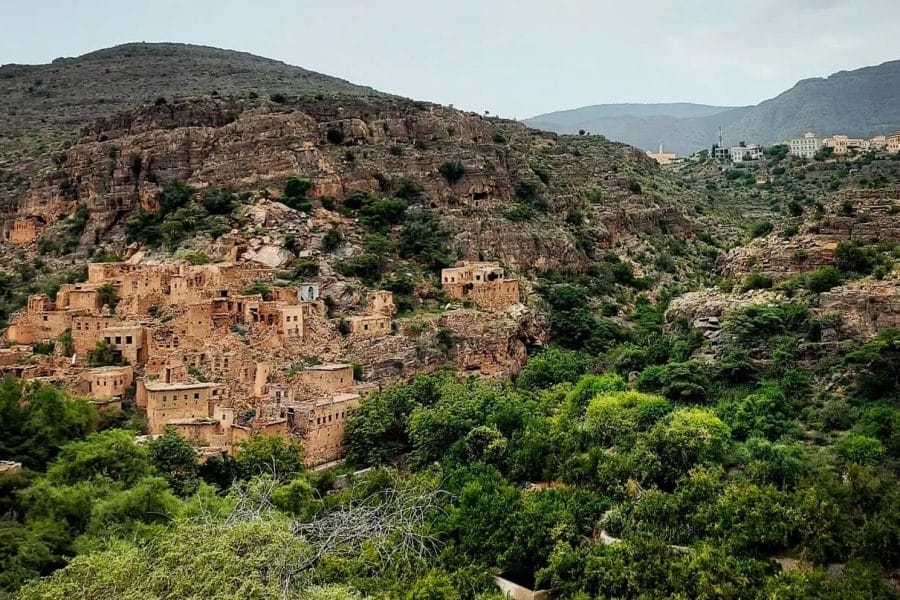 Desert Discovery | Oman Tours & Car Rental Services